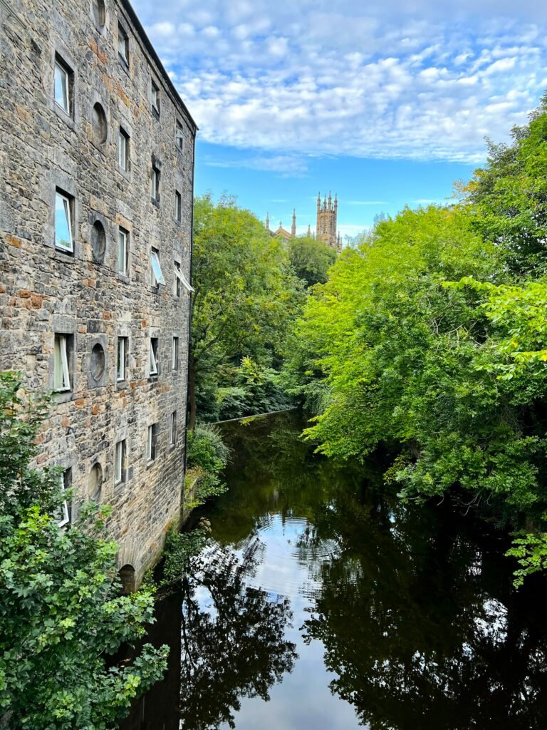 Tracey Dean Widelitz | Burningword Literary Journal